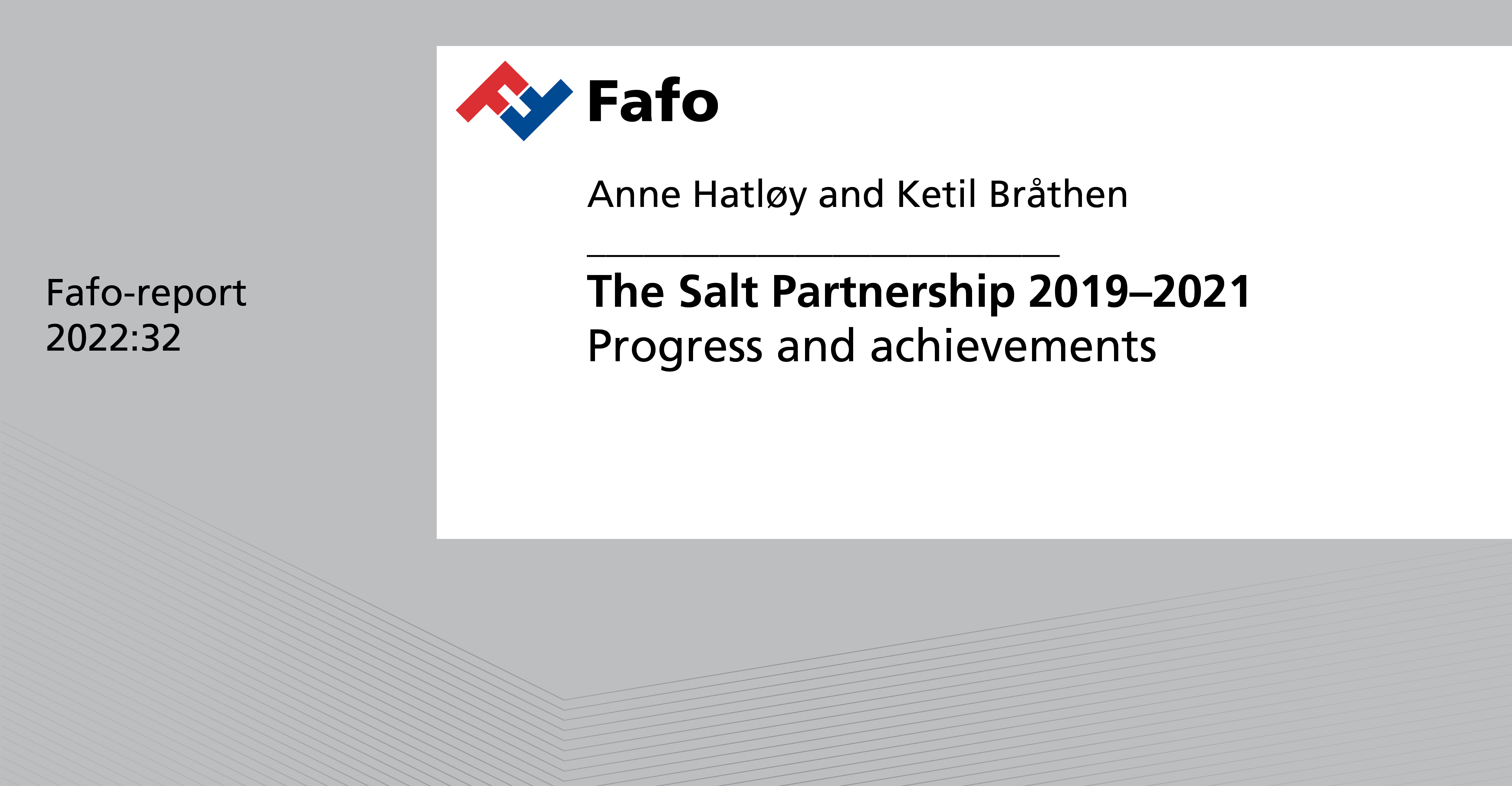 The Salt Partnership 2019–2021 | Fafo Report 2022:32